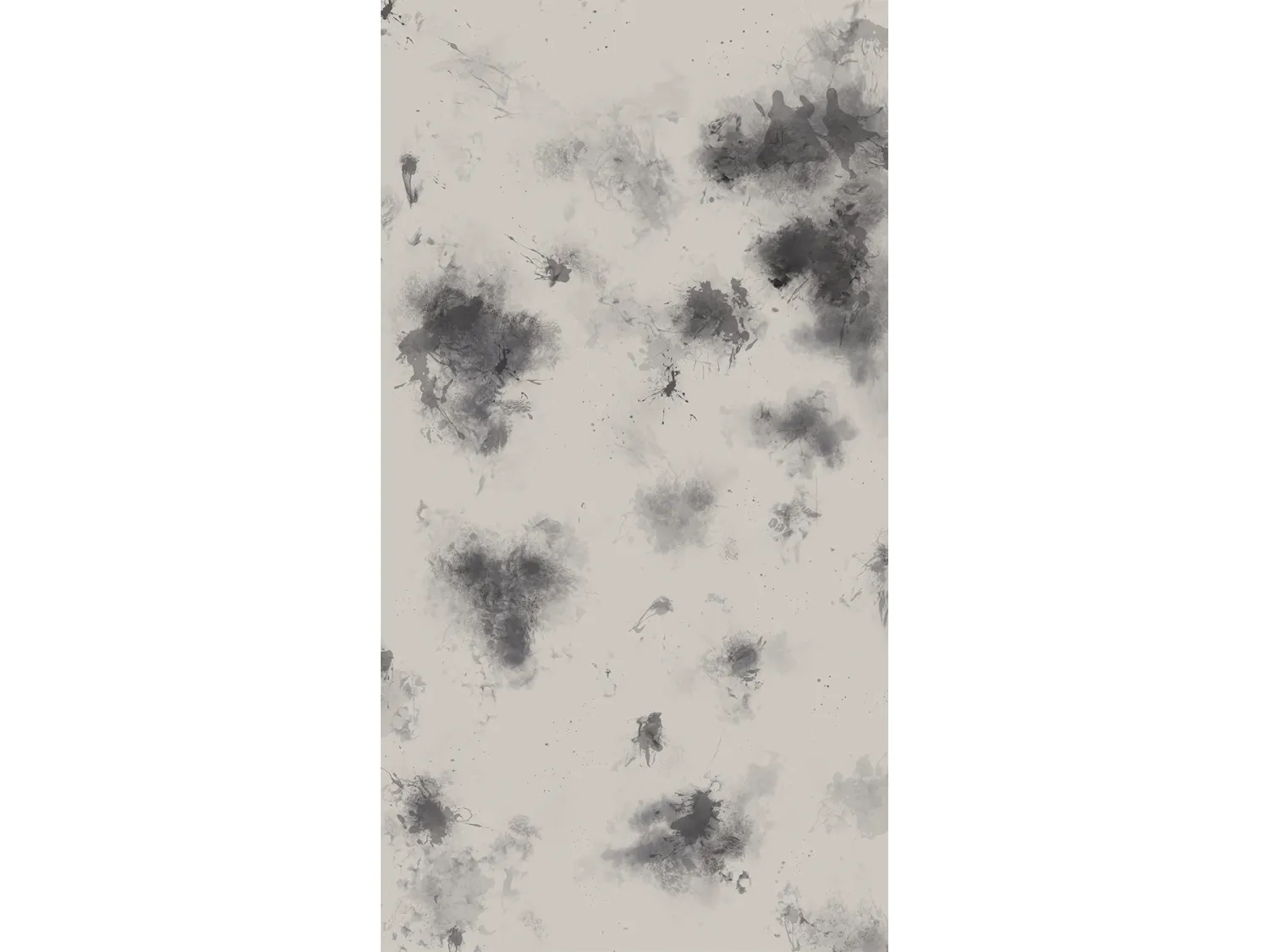 Fond de studio photo, décors pour studio photo en papier, fonds studio ...