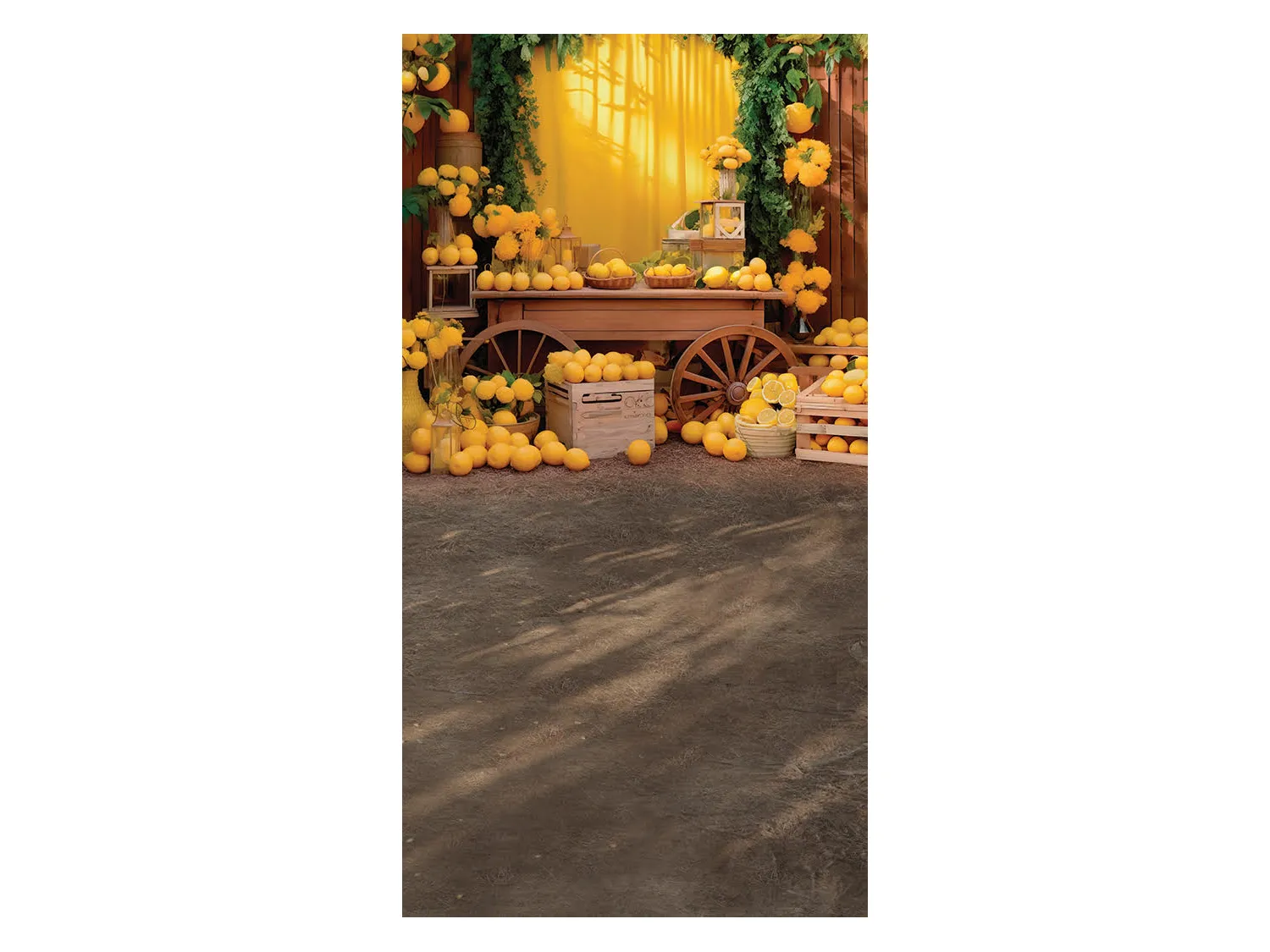 Fond de studio photo, décors pour studio photo en papier, fonds studio ...